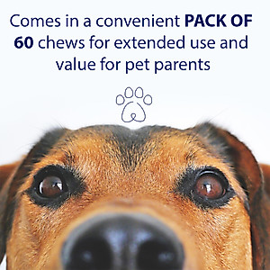 Smell of Nature Multi Dog Supplement Chews with Probiotics, Mushroom Extract & Turmeric - Soft Chewable Supplement for Overall Health & Wellness - Made with Superfoods - 60 Chews