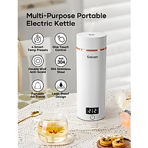 Sekaer Travel Portable Electric Kettle, Small Tea Kettle Coffee Mini Hot Water Boiler, 400mL & 304 Stainless Steel, with 4 Variable Presets and Auto Shut-Off SKE-840W