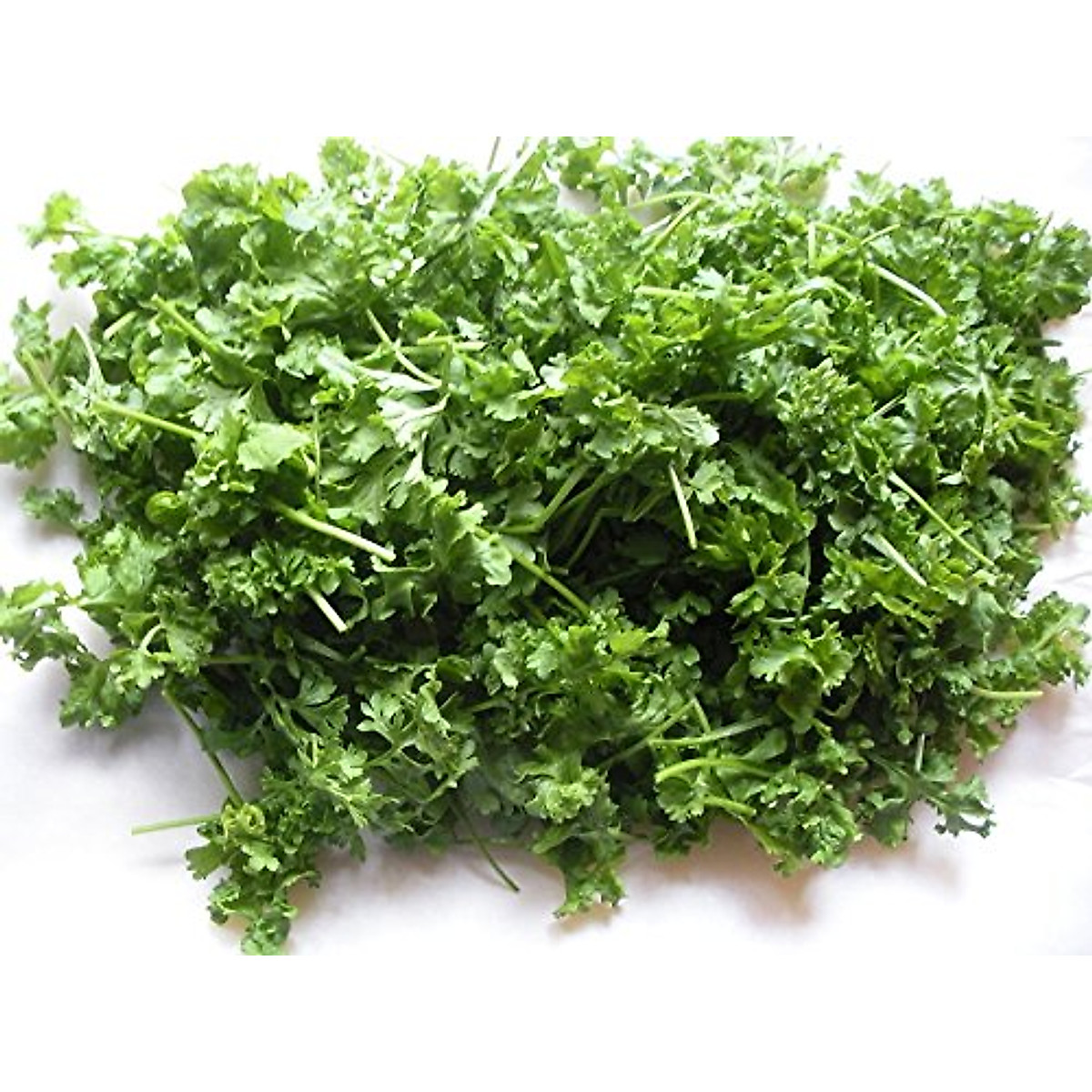 Curled Cress Seeds for Planting, aka "Garden Cress", 500+ Heirloom Seeds Per Packet, (Isla's Garden Seeds), Non GMO Seeds, Botanical Name: Lepidium sativum, Great Home Herb Garden Gift