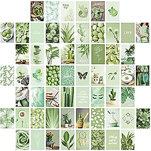 60 Pieces Sage Green Wall Collage Print Kit Green Aesthetic Plants Wall Photo Pictures Green Cards Wall Collection Poster Warm Color Aesthetic Collage Dorm Room Bedroom Decor for Teen Girls&Boys