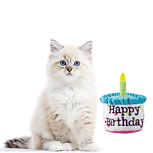 Ushang Pet Happy Birthday Cake Catnip Toys, Birthday Cake Shaped Chew Toys for Kitten Funny Cats Gifts Plush Cat Birthday Party Toys, Blue