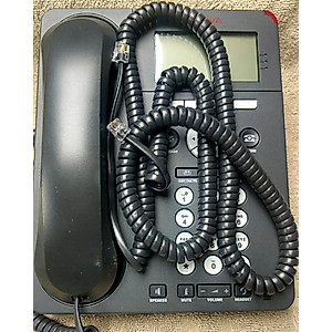 DIY-BizPhones 5-Pack Charcoal (aka Black) 25' Ft Long Handset Cords Compatible with Avaya IP Phone 9400 9500 9600 J100 Series Digital 9608G 9610 9610G 9611G 9620 9620L 9630 Receiver Curly Coil Lot