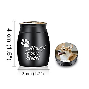 OTXIXTO Custom Mini Keepsake Urns for Human Ashes Customized Photo Symbol Birthstone Small Urns Stainless Steel Decorative Black Urns Cremation Holder Pet Ash Containers