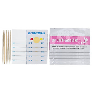 10Pcs Helicobacter Pylori Test Paper Home Travel H Pylori Teste Strips 1 to 3 Minutes Fast H P Test Paper for Home Use Care