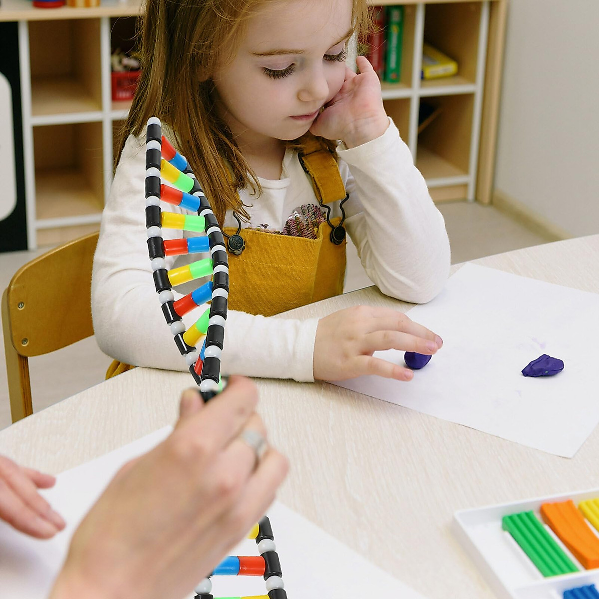 iplusmile DNA Model Kit Double Helix Structure DNA Models Biological Science Popularization Teaching Aids Early Education Toys for DNA Assembling