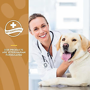NaturVet Skin and Coat Plus Breath Aid for Dogs, 70 ct Soft Chews, Made in The USA with Globally Source Ingredients