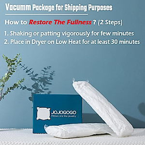 JOJOGOGO 18x18 Outdoor Throw Pillow Inserts Waterproof Set of 2, 18 x 18 Outdoor Patio Furniture Decorative Pillows, Outdoor Front Porch Decor White Chair Accent Pillows (with Deep Blue Piping)