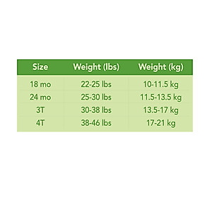 Reusable Absorbent Training Underwear-Hot Pink Floral-4T