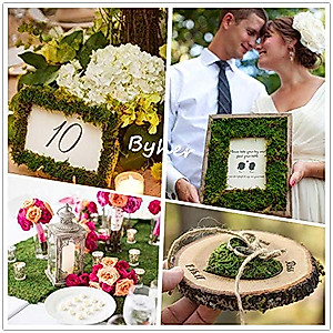 BYHER Dried Moss Mat for Wedding Birthday Party Fairy Garden Decorations, Dark Green (Green - 14" X 9")