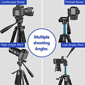 Aureday 74’’ Camera Tripod with Travel Bag,Cell Phone Tripod with Wireless Remote and Phone Holder, Compatible with DSLR Cameras,Cell Phones,Projector,Webcam,Spotting Scopes(Blue)