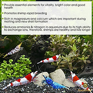 SunGrow Shrimp Rocks, for Crayfish, Hermit Crab, Snails, Crystal Red, Amano and Ghost Shrimps, 2 Ounce