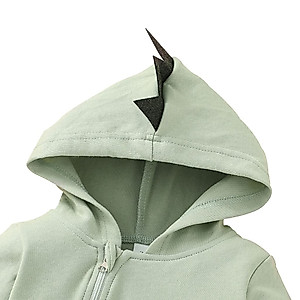 Onththr Infant Baby Boy Dinosaur Clothes Long Sleeve Hooded Romper Jumpsuit Outfits(Green, 3-6 Months)