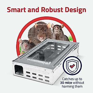 Tin Cat Multi-Catch and Release Humane Live Mouse Trap with Clear Window Lid for Indoor Outdoor Use | Sold by Canadian Supplier Local Pest Control (2 Pack)