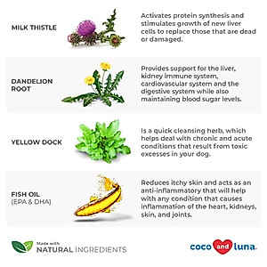 Milk Thistle for Dogs - 120 Chewable Tablets - Liver and Kidney Support for Dogs - Hepatic Support with EPA & DHA - Detox for Dogs - Dog Liver Support - Liver Supplement for Dogs