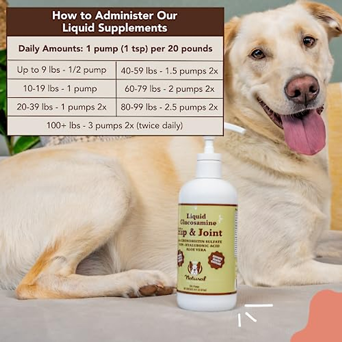 Natural Dog Company Liquid Glucosamine Hip & Joint Oil for Dogs (16 oz) Extra Strength Cartilage and Joint Support , Helps Mobility and Eases Occasional Stiffness, Dog Supplement for All Breeds and Ages, Senior Dog Supplements, Dog Vitamins and Supplement