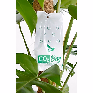 CO2 BAG -CO2 for indoor growing. Small, effective and affordable