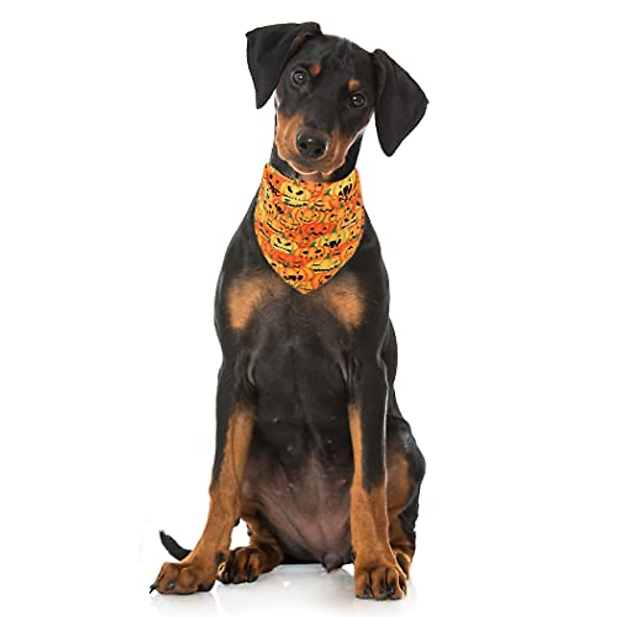 Halloween Thanksgiving Dog Bandana and Collar Set with Bow Tie Dog Scarf Triangle Bibs Kerchief Adjustable Costume Accessories for Cats Dogs Pets