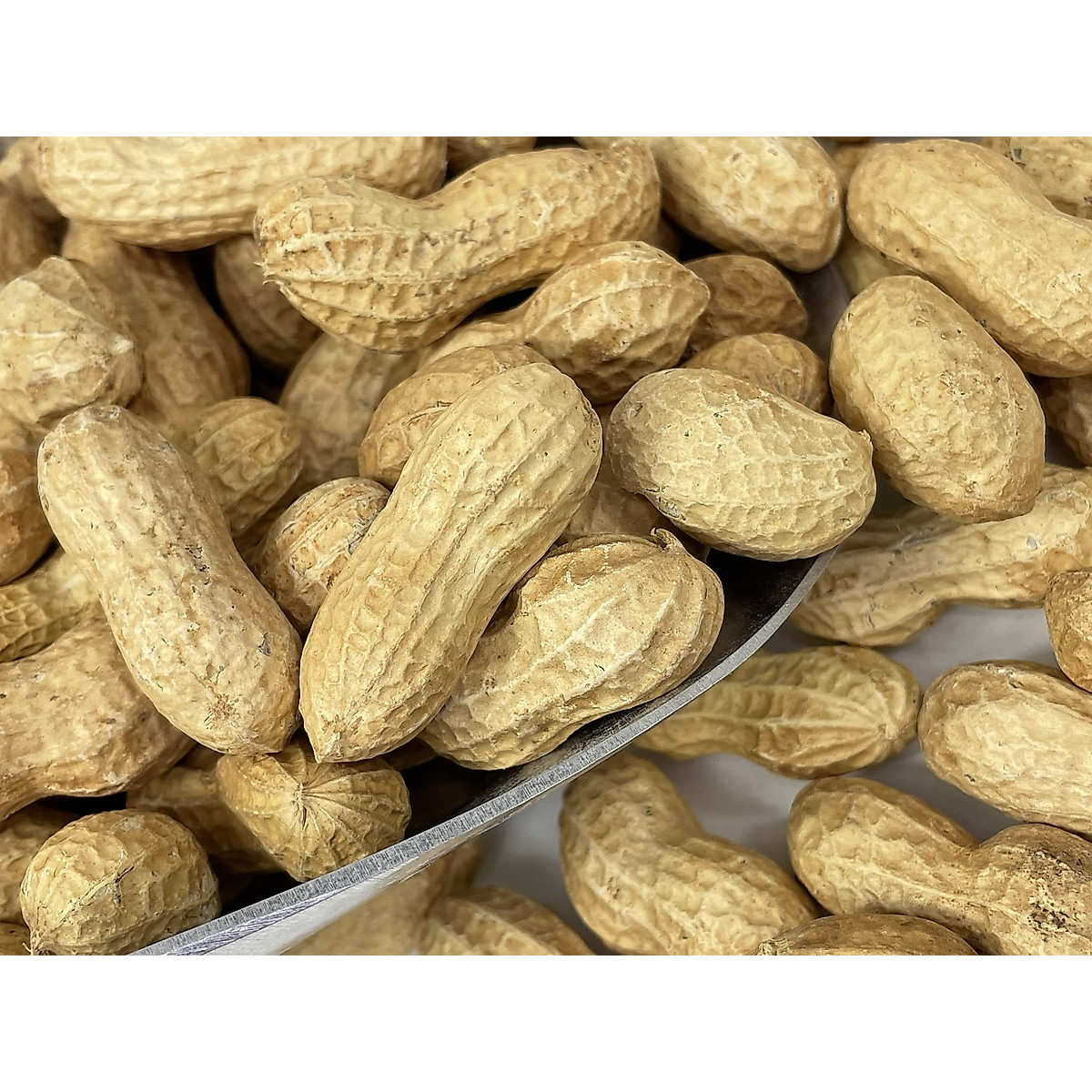 Executive Deal Peanuts in Shell for Birds, Squirrels, Deers, and Wildlife - 2 lb, 32 Ounces