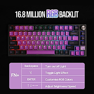 EPOMAKER TH80 SE Gasket 75% Mechanical Keyboard, NKRO Hot Swappable RGB 2.4Ghz/ Bluetooth 5.0/ Wired Gaming Keyboard with Poron/EVA Foam, 4000mah Battery (Black Purple, Budgerigar Switch)