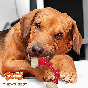 Nylabone Power Chew Double Bone Long Lasting Chew Toy for Dogs X-Small - Up to 15 lbs.