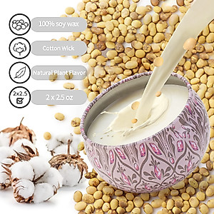 Scented Candles 2 Pack 2.5 oz Aromatherapy Jasmine and Vanilla Candles Set, Stress Relief Candles Gifts for Women, 12 Hour Burn Time, Portable Home Tin Jar Candles for Travel, Spa, Bath