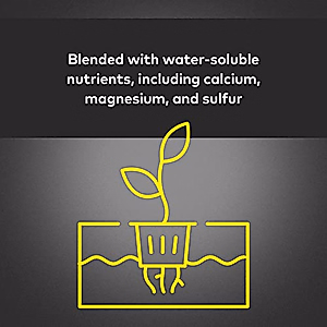 General Hydroponics MaxiGro Plant Food For Vigorous Growth, 2.2 lb