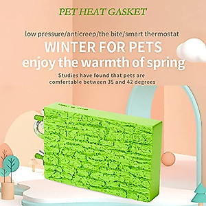 Bird Warmer for Cage Bird Perch Stand Platform Warm Heating, Heating Bird Perch Platform for Exotic Pet Birds, 12V 5W African Grey, Parakeets, Parrots