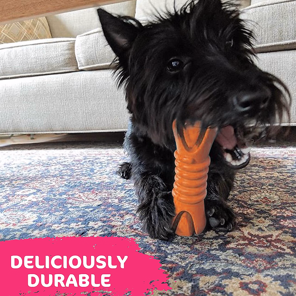 TastyBone Dental Bone Dog Chew Toy (One Size) (Cinnamon Mint)