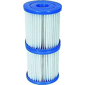 POOL FILTER CARTG I 2PK