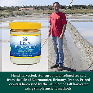 Eden Sea Salt, Hand Harvested French Celtic, Stone Ground (Fine), 82 Trace Minerals, Unrefined, Glass Jar, 14 oz