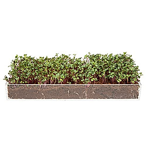 Window Garden Microgreens Grow Kit - Non GMO, Organic Microgreen Seeds, Fiber Soil, Acrylic Tray, Sprayer - Indoor & Outdoor Tools for Gardening, Seedling, Planting Superfood, Hydroponic Growing Kit