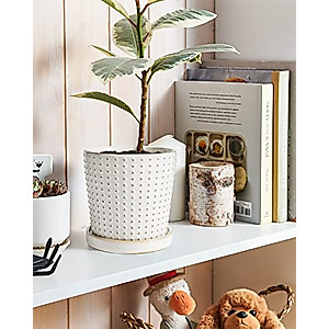 LE TAUCI Ceramic Plant Pots, 5.4 Inch Pots for Indoor Plants, Planters with Drainage Hole and Saucer, Flower Pots for Succulent, Snake Plants and Cactus, Set of 2, Reactive Glaze White