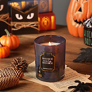 Pumpkin Scented Candle Gift Fall Halloween 10oz Soy Wax Jar Candles Premium Candle for Home (home)