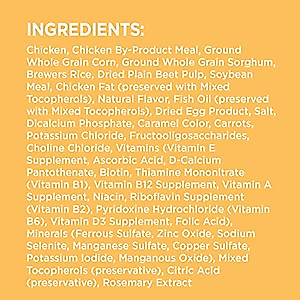 IAMS Smart Puppy Dry Dog Food with Real Chicken, 15 lb. Bag