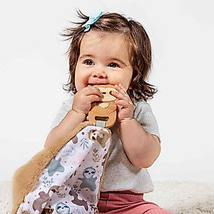 Mary Meyer Chewy Crew Soothing Baby Teether Lovey, 10-Inches, Kitty