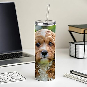 Cavapoo Dog Puppy Photo Skinny Tumbler 20oz with Straw Insulated Water Bottle Gift