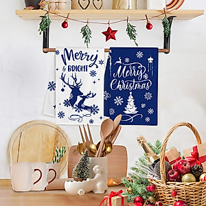 Pinatas Christmas Kitchen Towels Set of 4, Snowflake Blue Christmas Dish Towels, Winter Farmhouse Christmas Kitchen Decor, Hand Towels Housewarming Gifts for New Home