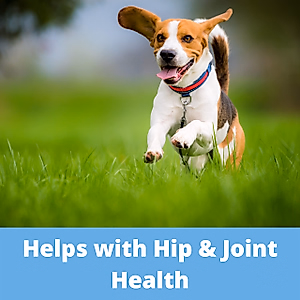 iVitamins Hemp Oil for Pets, Dogs, Cats : 4 fl oz : May Help with Separation, Inflammation, Joints, HIPS, and More : Hemp Extract : Easily Apply to Treats (1,000mg)