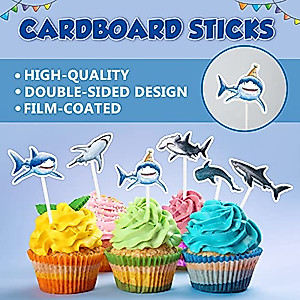 WERNNSAI Shark Cupcake Toppers - 36 PCS Shark Party Cake Toppers for Kids Boys Ocean Shark Themed Party Birthday Shark Cupcake Decorations Baby Shower Beach Party Supplies