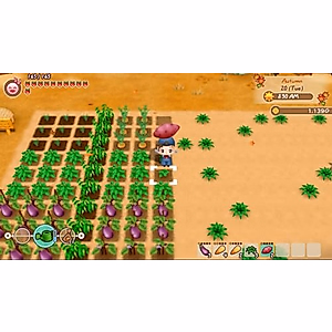 Story of Seasons: Friends Of Mineral Town (PS4)