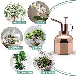 LOOPSEED Stainless Steel Plant Mister Spray Bottle Watering Can for Indoor Plants Succulent Bonsai Garden Spray Houseplant Spritzer Modern Garden Tools 10oz/300ml (ROSE GOLD)