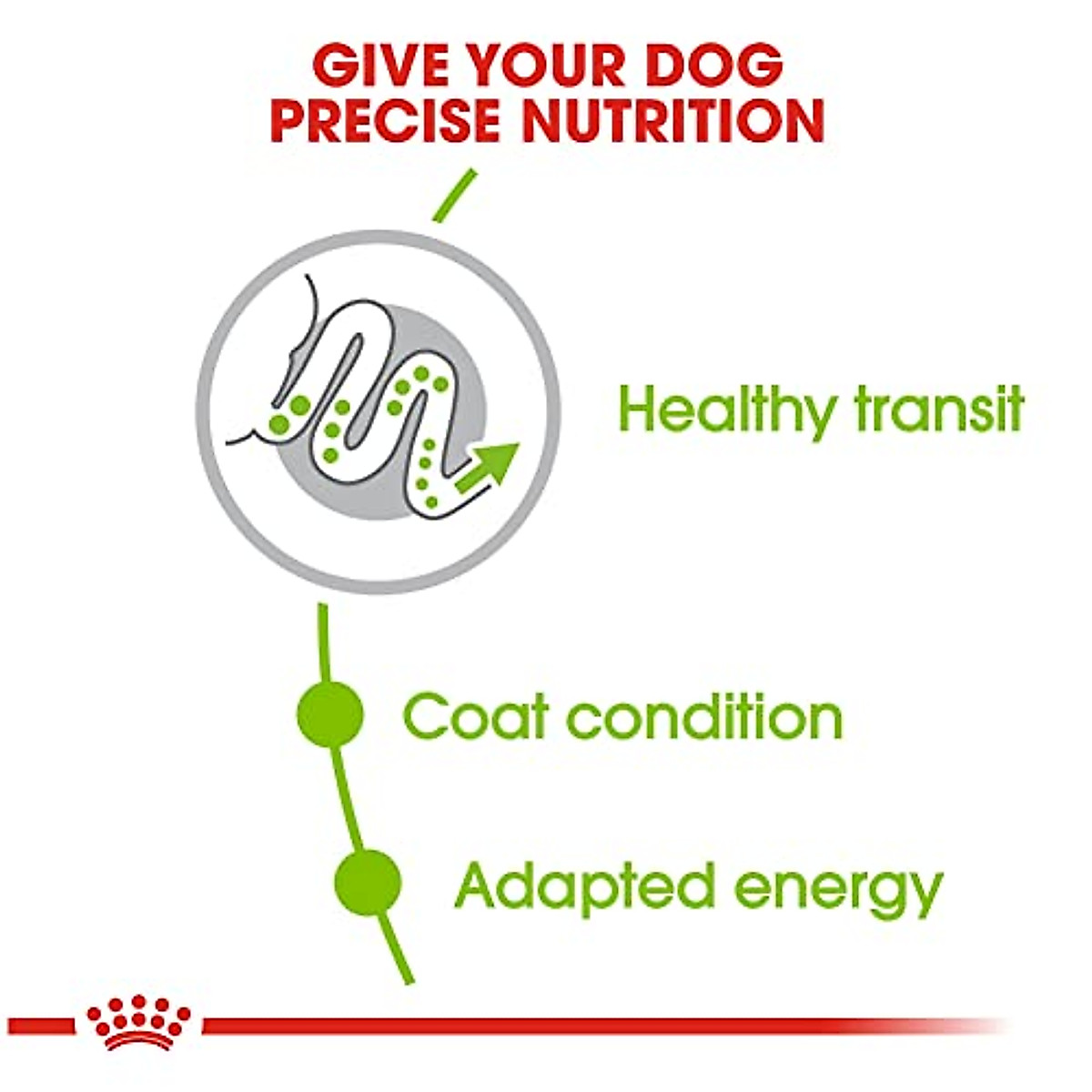 Royal Canin X-Small Adult Dry Dog Food, 2.5 lb bag