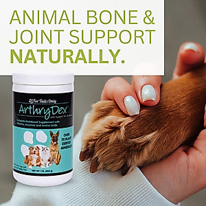 YOUNGEVITY Arthrydex Complete Nutritional Supplement | Vitamins Probiotics Enzymes | Pets Healthy Bones & Joints -1 lb Canister (Pack of 2)