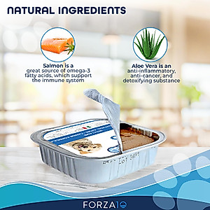 Forza10 Wet Hypoallergenic Dog Food, Lamb Flavor, Canned Sensitive Skin Dog Food, for Adult Dogs with Skin Issues, 32 Pack Case of 3.5 Ounce Each