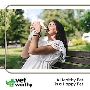 Vet Worthy Milk Replacement for Dogs - Milk Formula Replacer for Puppies, Pregnant, Lactating, Elderly or Recovering Dogs - Enriched with Colostrum, Whey Protein, Vitamins and Minerals - 12oz