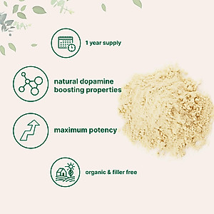 Micro Ingredients Organic Mucuna Pruriens Extract Powder,1 Pound (908 Servings), Pure Mucuna Supplement, Promote Mood, Brain Health and Boosts Immune System, Energy, Vegan Friendly