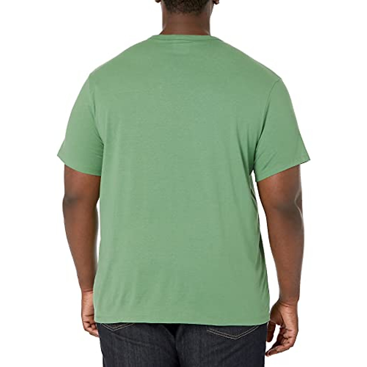 Champion T, 100% Cotton Shirt for Men, Lightweight Tee, Multiple Graphics, Native Fern Green-Y08254, Small