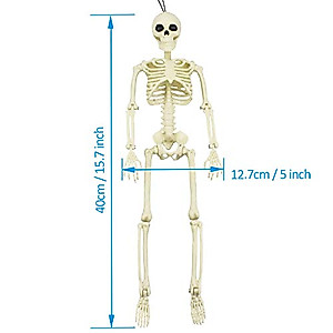 XONOR 16” Posable Halloween Skeleton- Full Body Halloween Skeleton with Movable Joints for Haunted House Props Decorations (1pc)