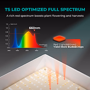 MARS HYDRO 2024 New TS1000 150W LED Grow Light for Indoor Plants, Patented Reflector Dimmable Lights Daisy Chain Full Spectrum Growing Lamps for Seedlings Veg Bloom in 2x2/3x3 Grow Tent