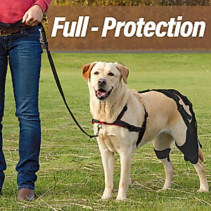 Dog Knee Brace with Side Stabilizers - Support for Dog ACL CCL Cruciate Ligament Injury Joint Pain and Muscle Sore（Size XXL